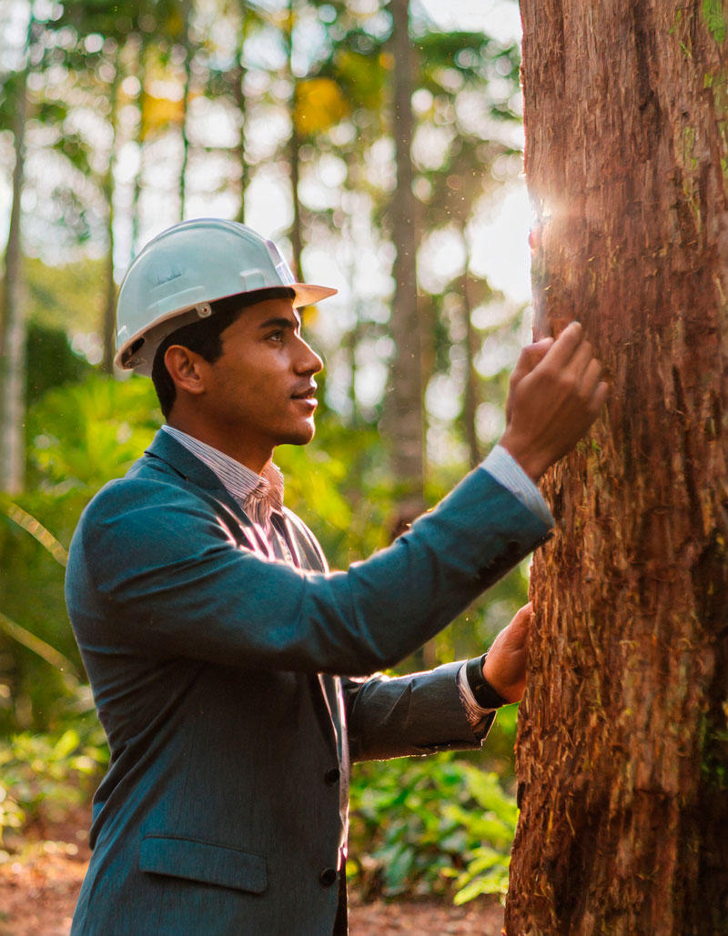 Projetos - Earth Guard